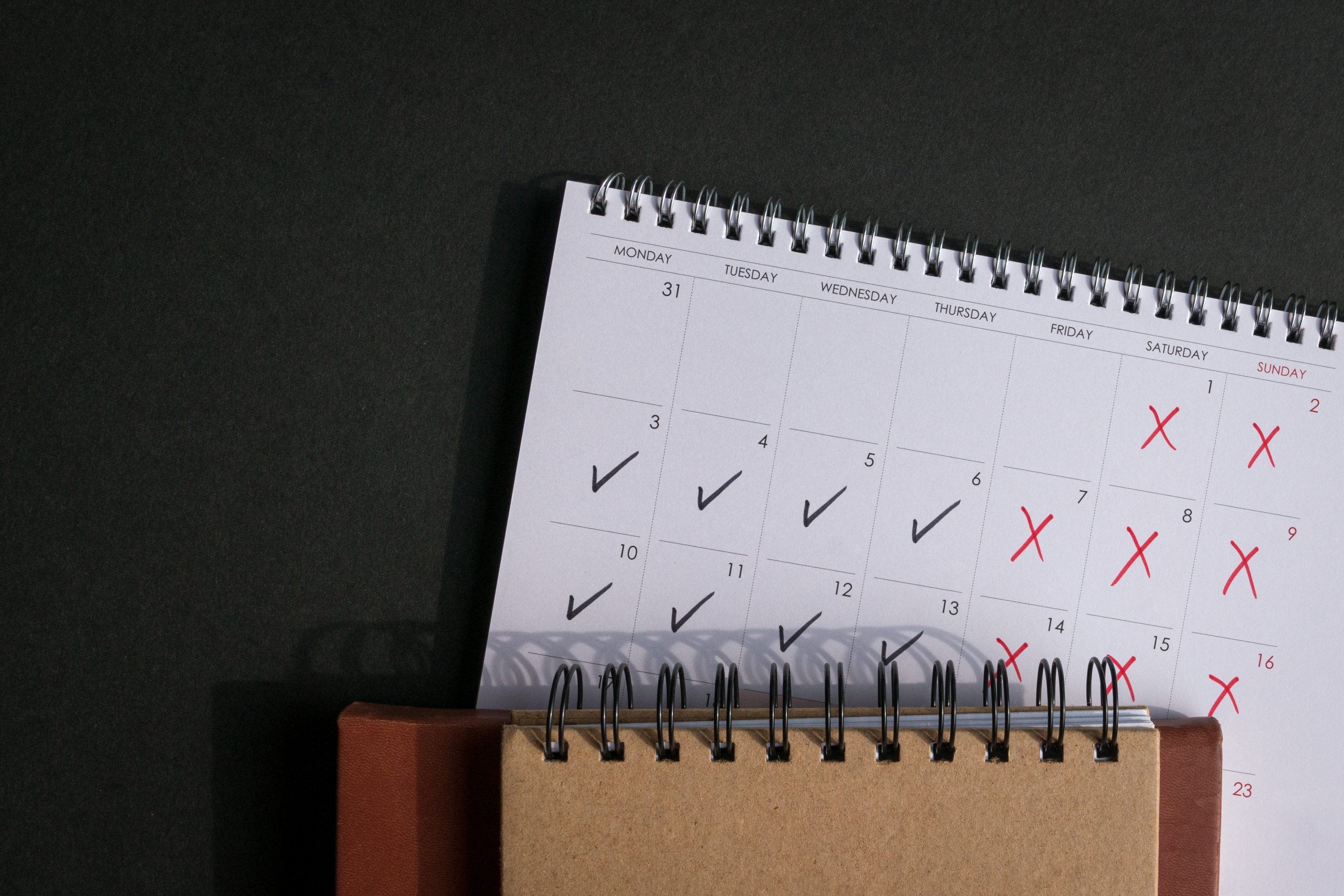 Sine Consulting are trialling a four-day working week and here’s why ...